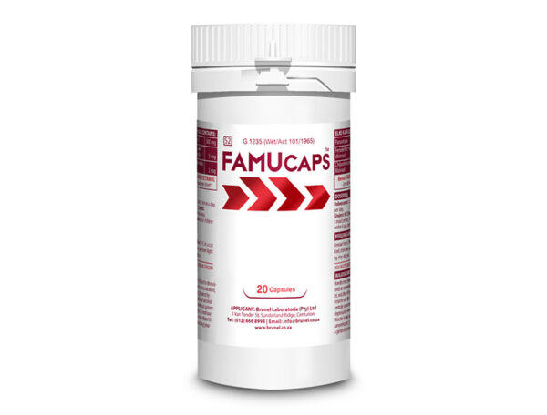 FAMUCAPS 20’s – DelMed